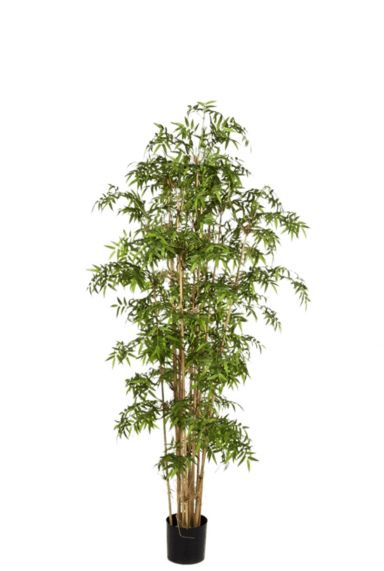 Kunstplanten kopen? - 123planten.nl