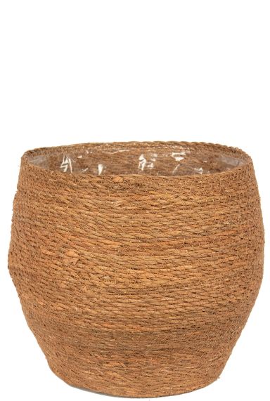 Geef jij deze mooie kamerplanten ook een mooi plekje? Ze staan te ...