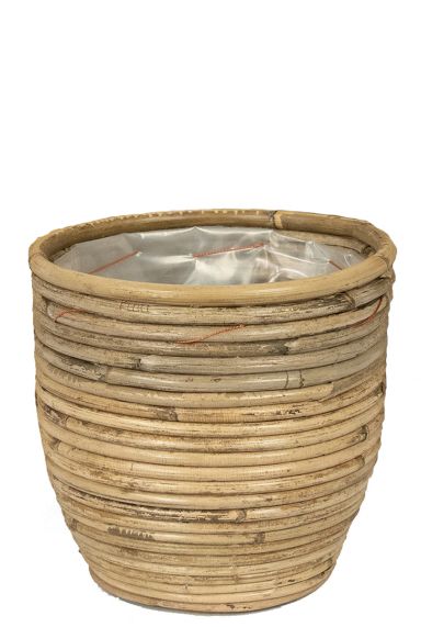 Scindapsus Pictus Epipremnum | 15cm kopen?- 123planten.nl