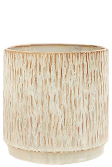 Geef jij deze mooie kamerplanten ook een mooi plekje? Ze staan te ...