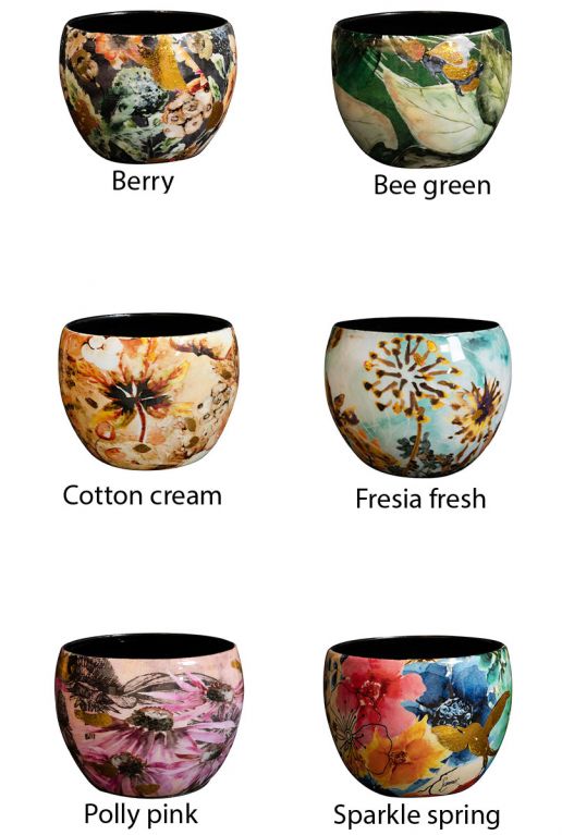 Zon planten in vrolijke potjes - 123planten.nl