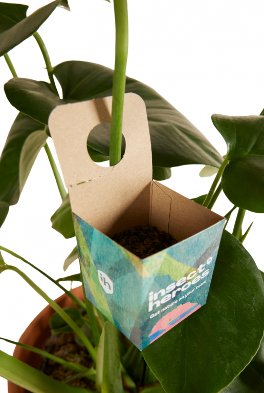 Biologische plaagbestrijding tegen trips - 123planten.nl