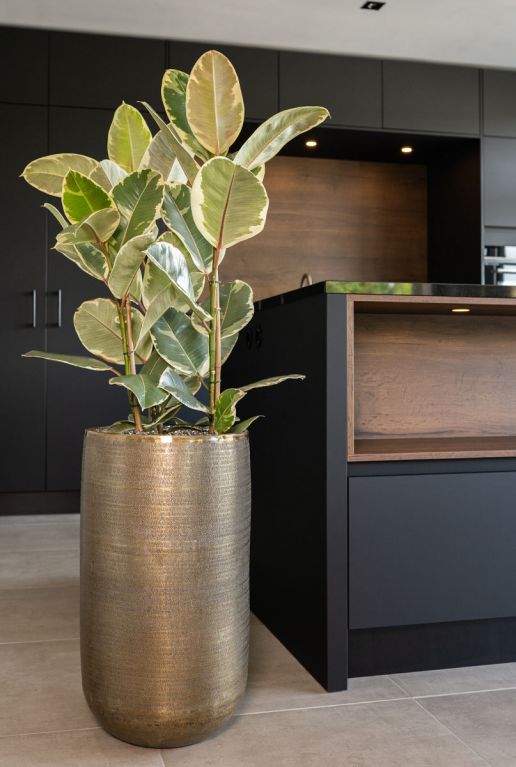 Rowen Pot Hoog - 123planten.nl