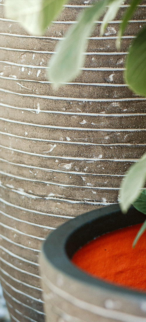 Capi Europe bloempotten kopen? - 123planten.nl